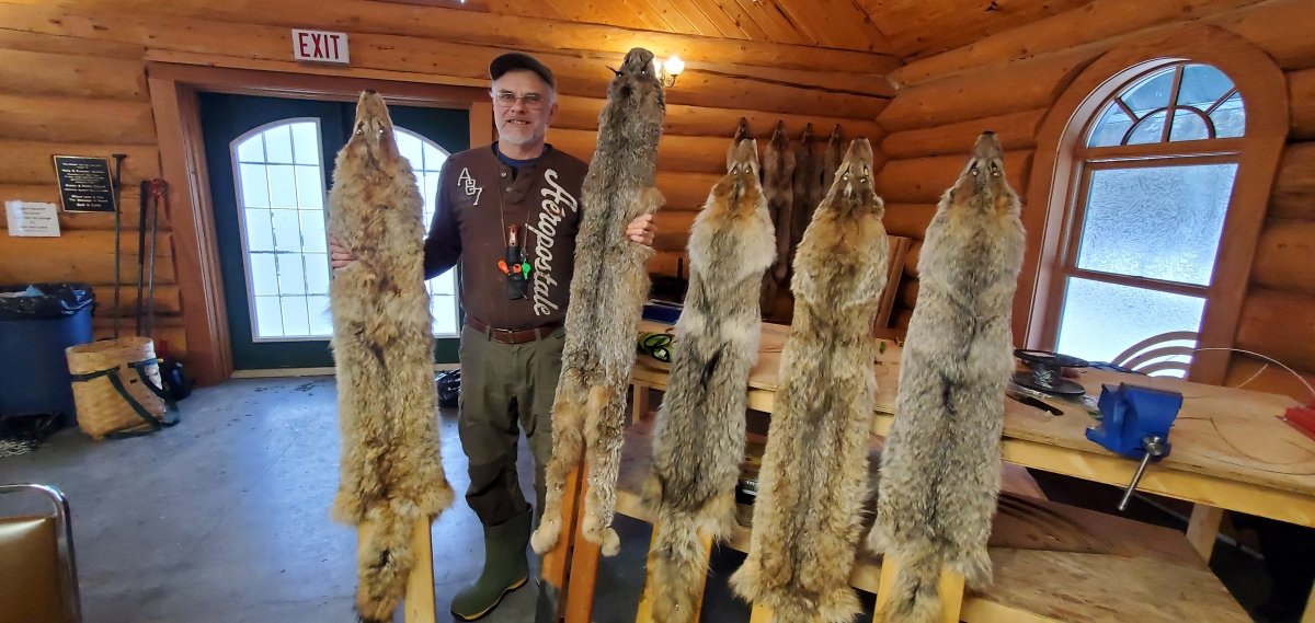 Bushcraft Trapline Course- An Interactive Trap Line Experience January ...